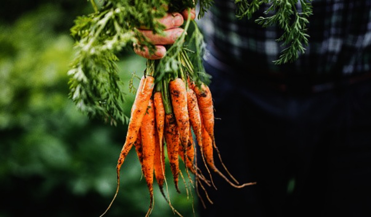 Advantages and Disadvantages of Mixed Farming - Bscholarly Advantages and Disadvantages of Mixed Farming - Bscholarly